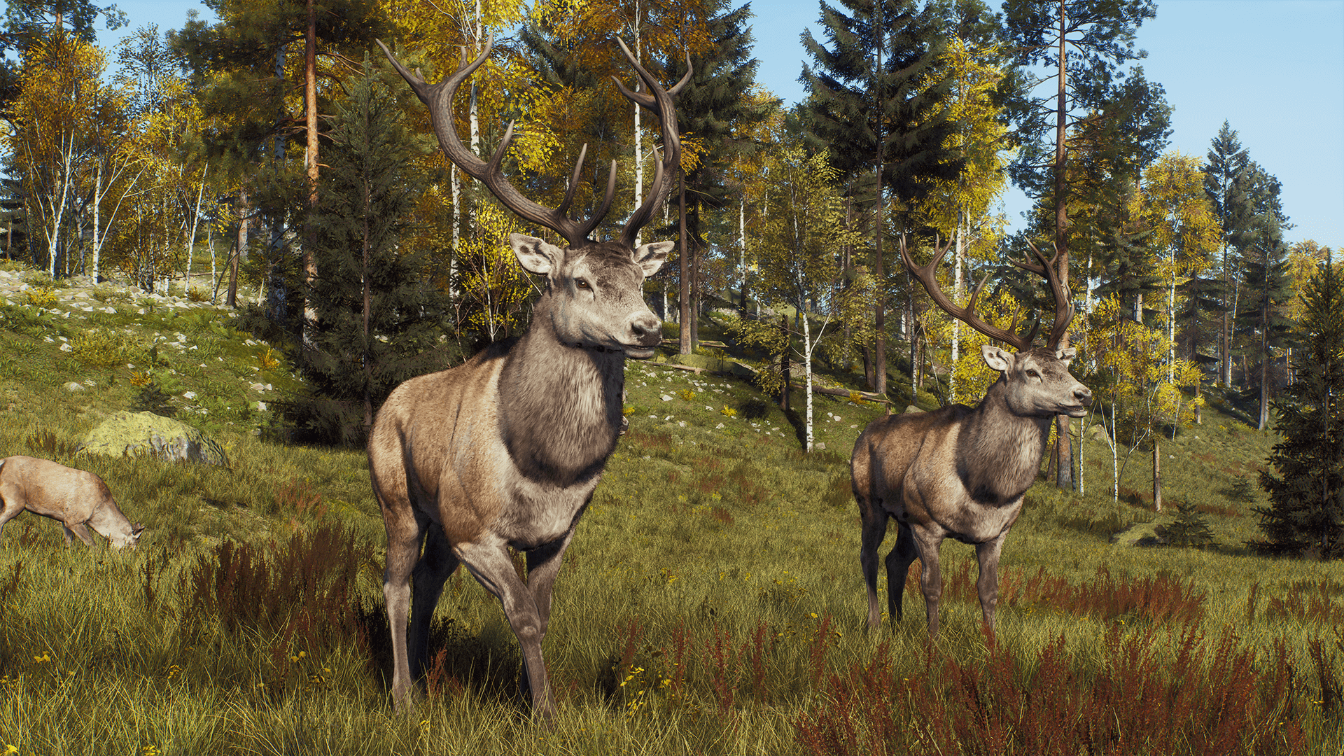 Way of the Hunter - Lintukoto Reserve – Official Game Site