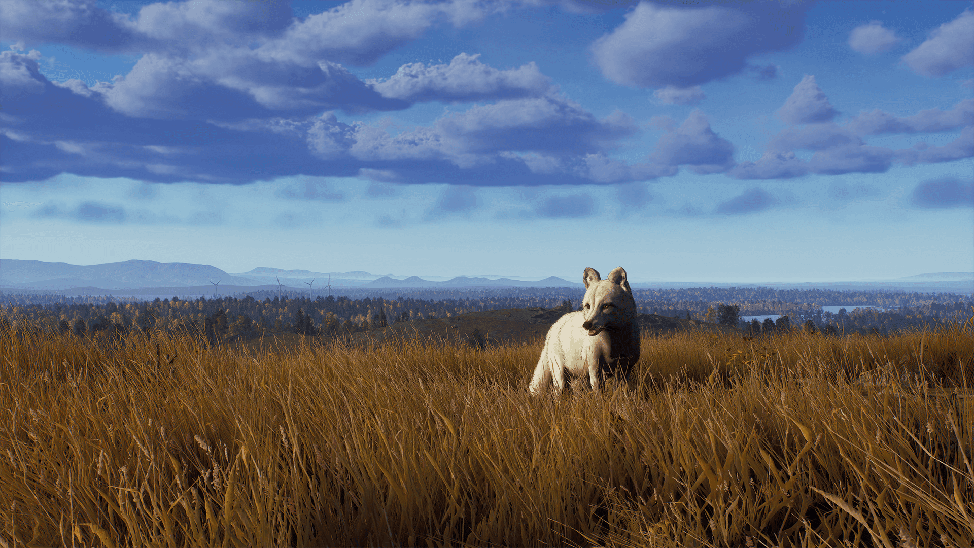 Way of the Hunter - Lintukoto Reserve – Official Game Site