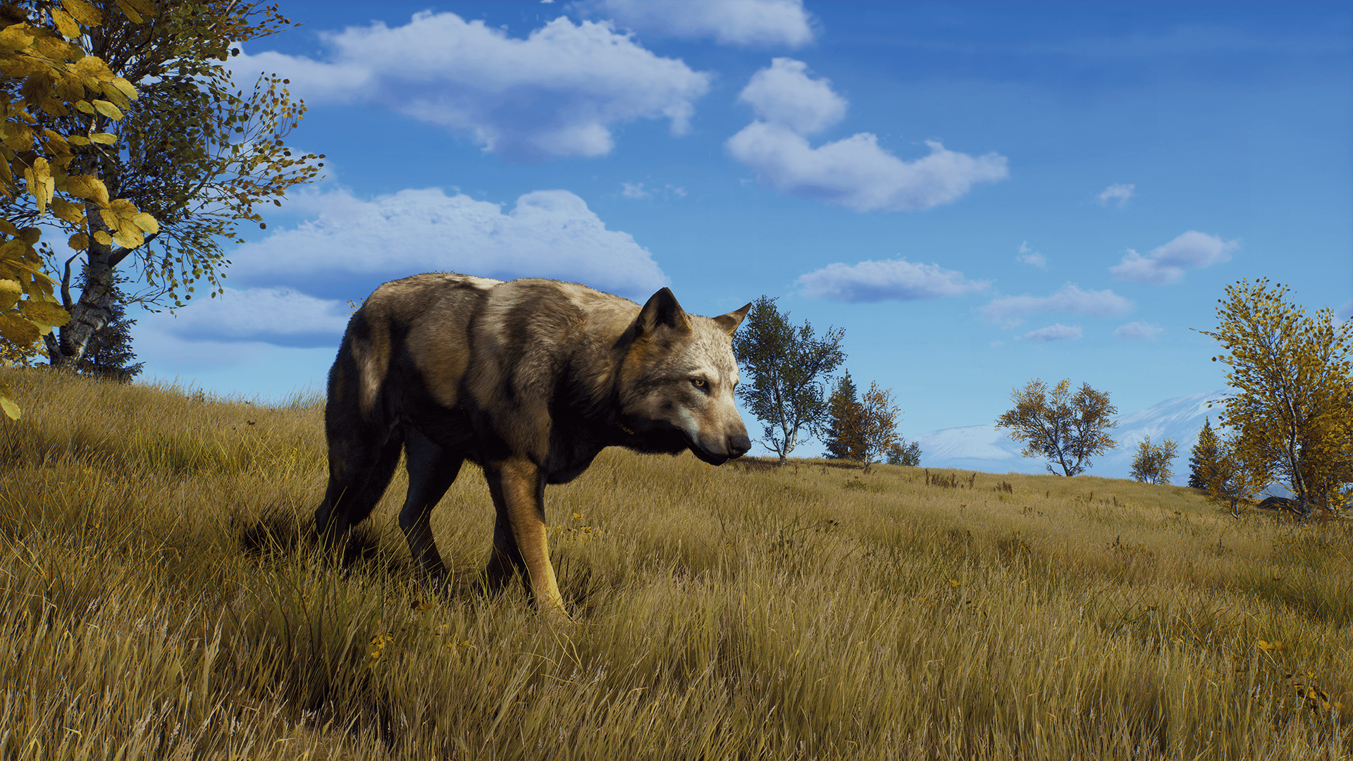 Way of the Hunter - Lintukoto Reserve – Official Game Site