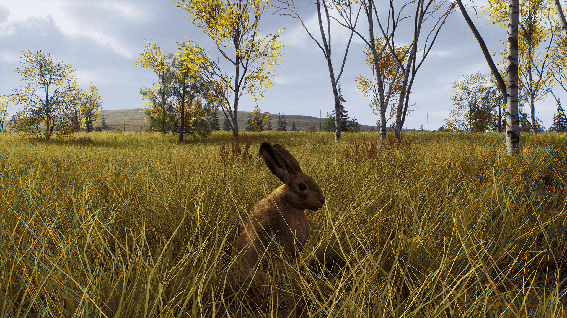 Way of the Hunter - Lintukoto Reserve – Official Game Site