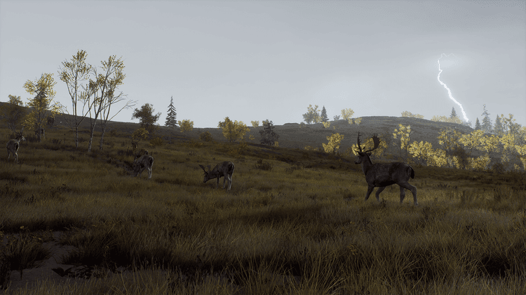Way of the Hunter - Lintukoto Reserve – Official Game Site