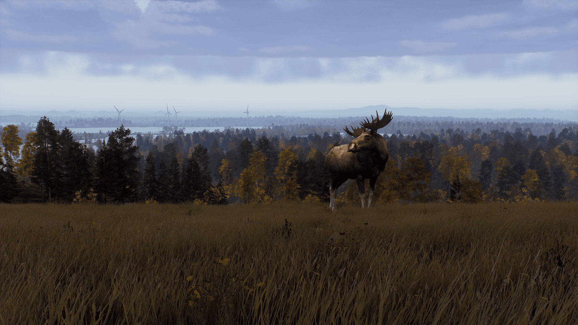 Way of the Hunter - Lintukoto Reserve – Official Game Site