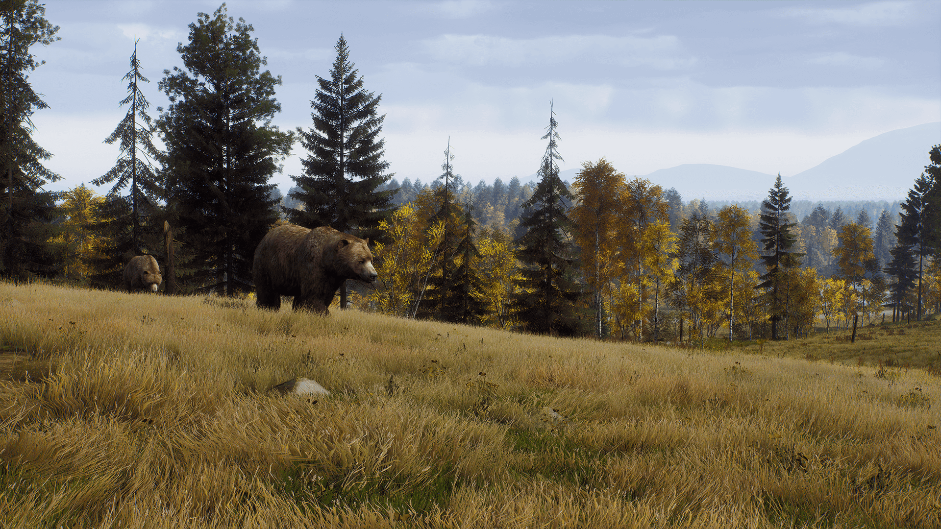 Way of the Hunter - Lintukoto Reserve – Official Game Site